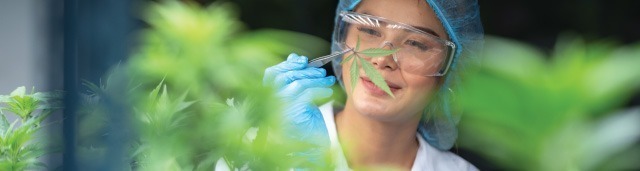 Cannabis Laboratory - BTSOFT